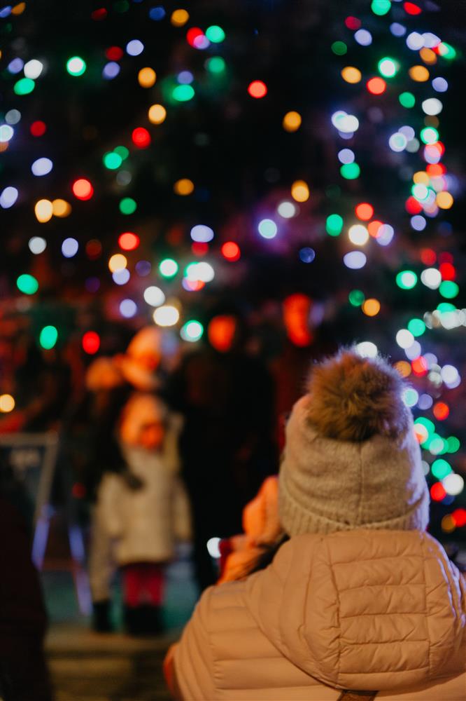 Light Up - Explore Stony Plain - Your Guide to History, Art, and Adventure